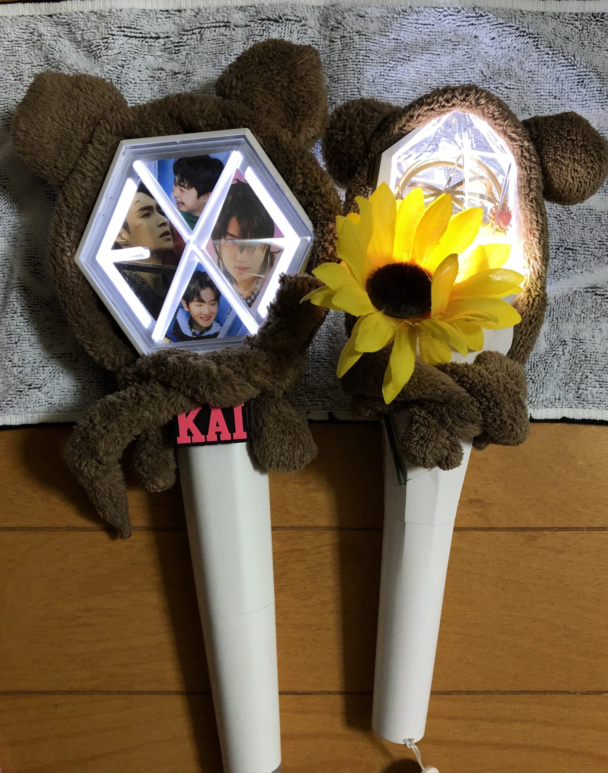 SF9ReStart追加公演・昼公演行ってきたレポート20240601豊洲ピット | じゅんちゃい・凡人中年でもよく学びよく遊ぶ・知りたい・わかりたい・やってみたレポート